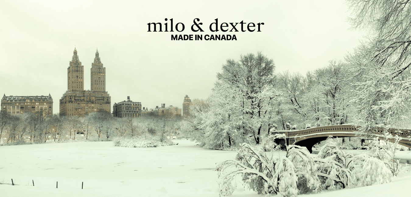 Milo And Dexter - Crimson Serpents Outpost